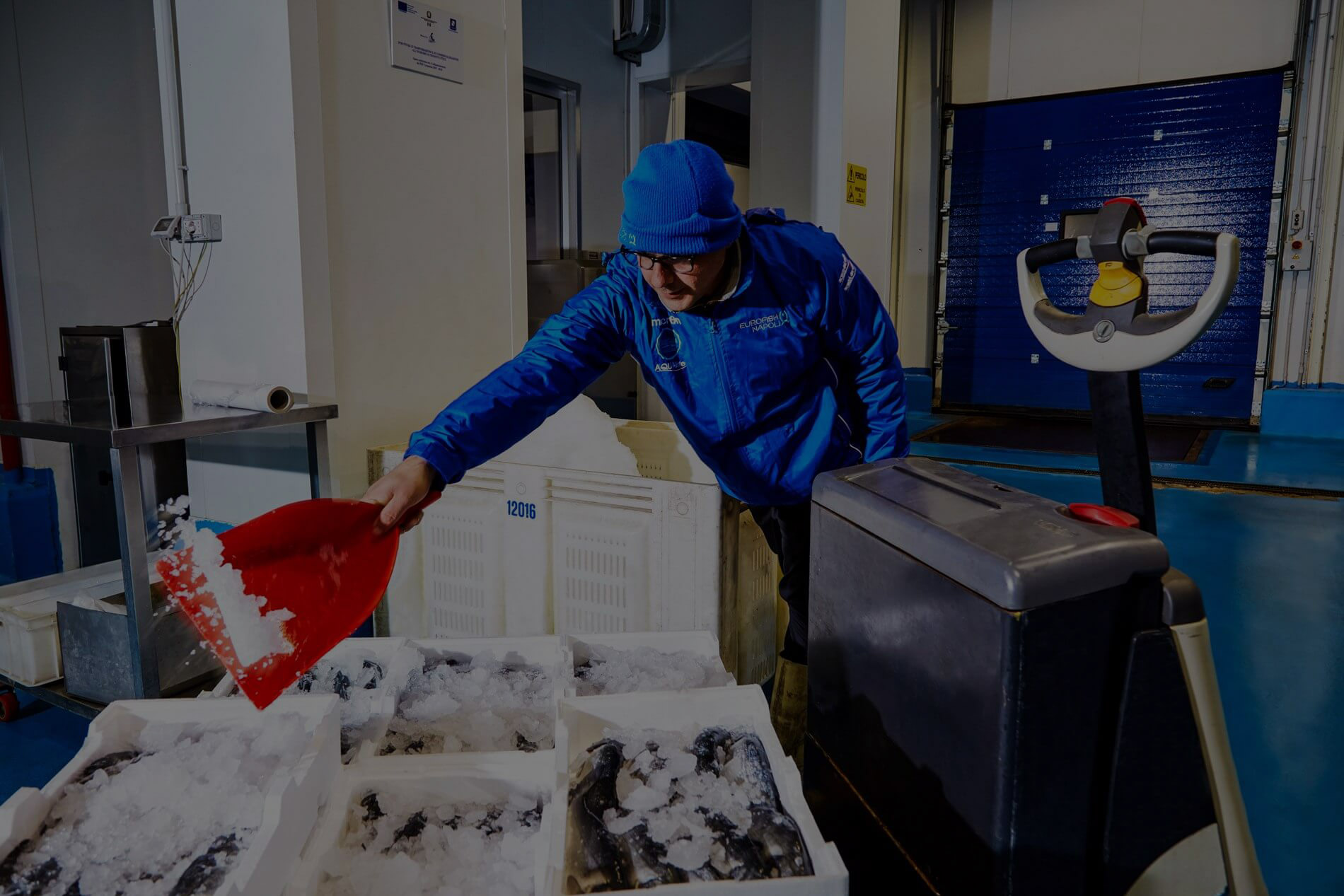 Eurofish in partnership con Geotab - Top Trade